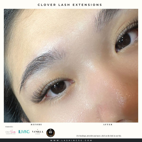 CLOVER LASH EXTENSIONS – LASH INC SG