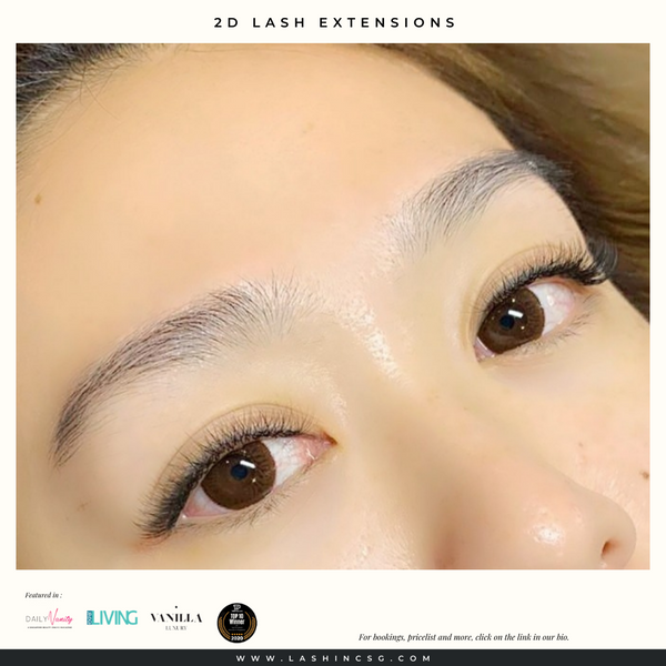 2D WINK LASH EXTENSIONS – LASH INC SG